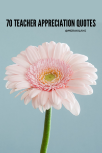 70 Teacher Appreciation Quotes to Express Your Gratitude