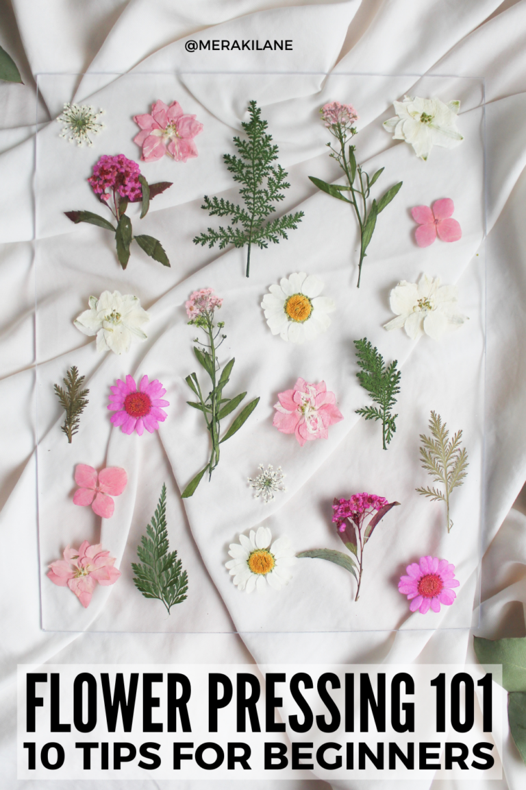 20 Flower Pressing Art Ideas for Kids and Adults